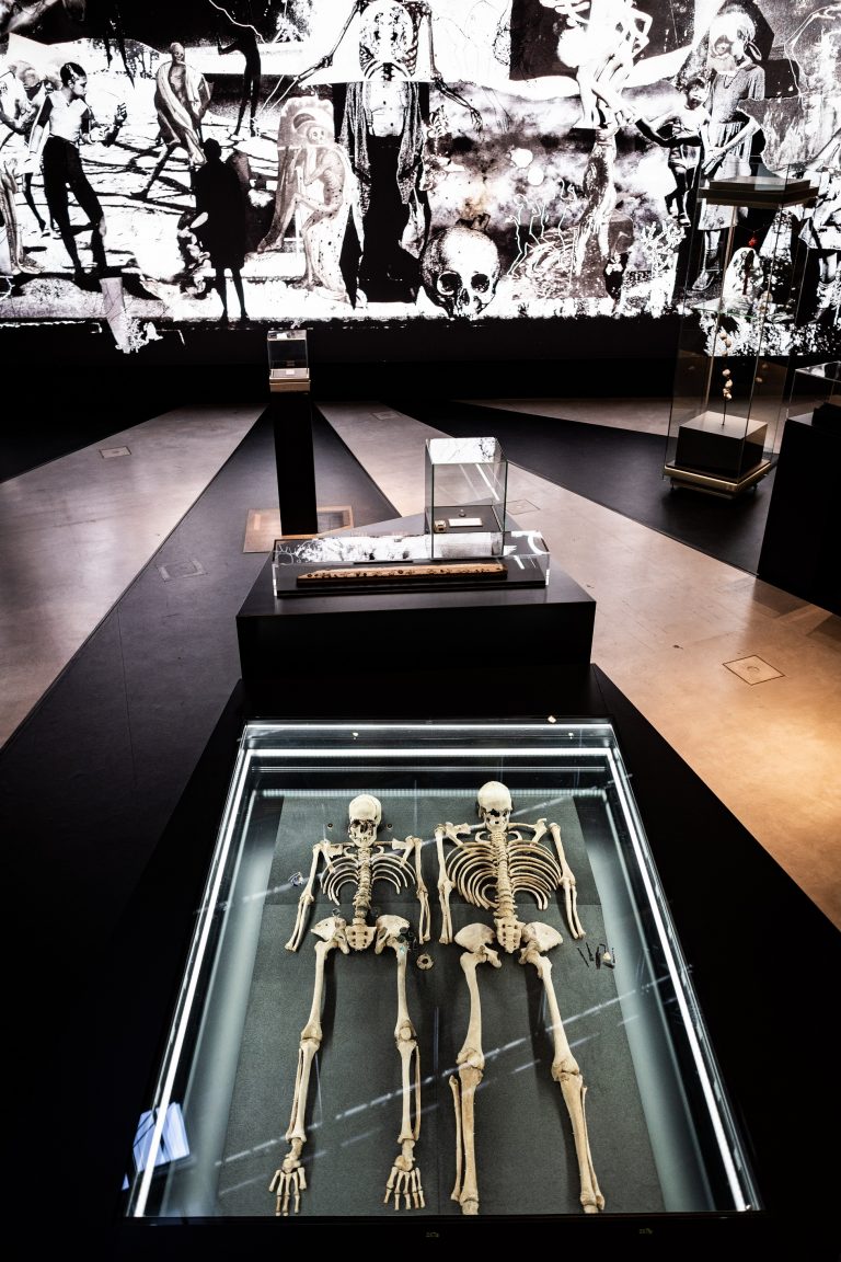 Pest! Herner Museum für Archäologie